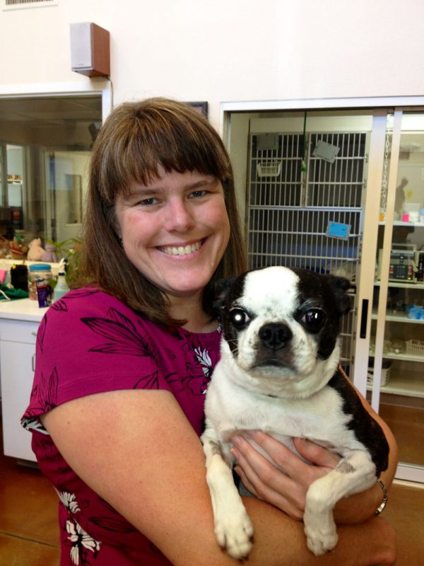 Meet Pixie – Animal Care Clinic