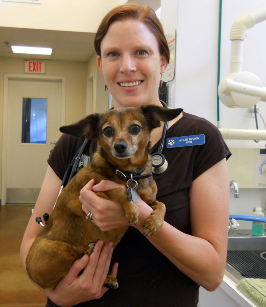 Meet Sienna – Animal Care Clinic