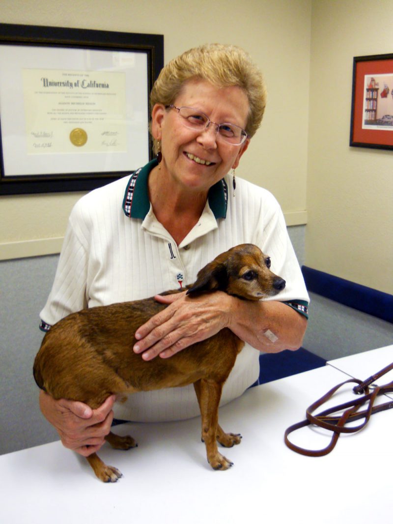 Meet Sienna – Animal Care Clinic