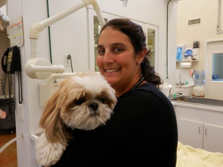 Meet Murphy – Animal Care Clinic