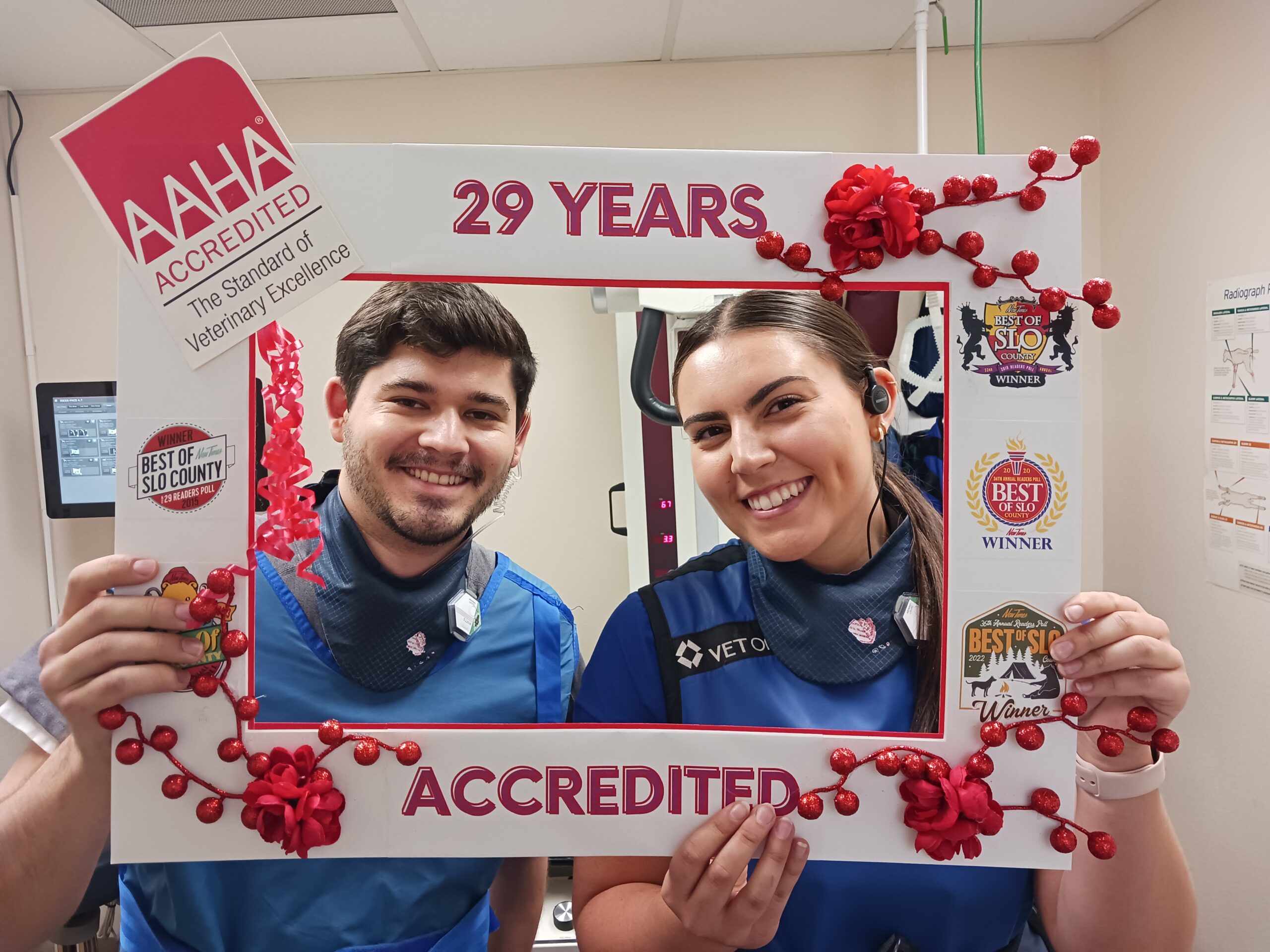 What is AAHA Day? – Animal Care Clinic