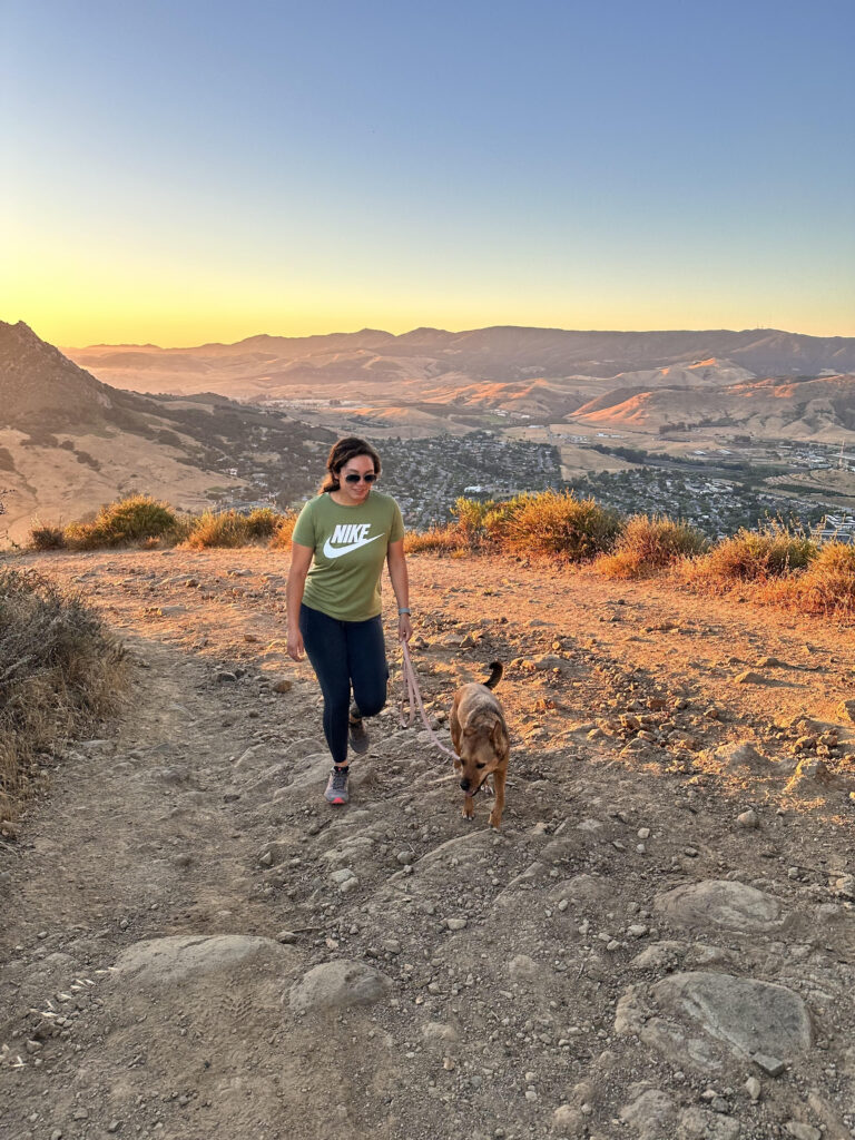 The Benefits of Sniff Walks vs. Exercise Walks for Your Dog – Animal ...